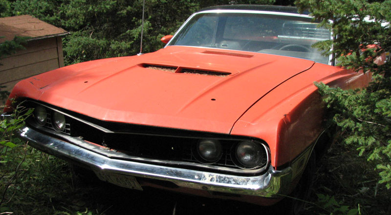 The Junkyard Photo Thread - The Ford Torino Page Forum - Page 15